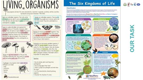 Identifying Species Binomial Nomenclaturepptx