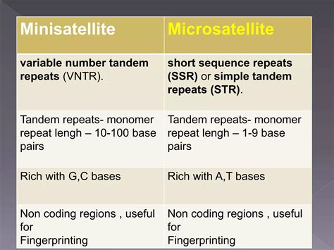 Microsatellite Pptx