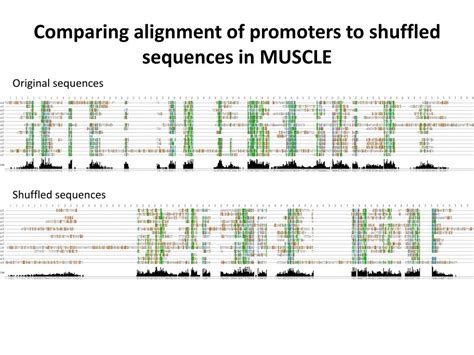 ppt practical multiple sequence algorithms powerpoint presentation