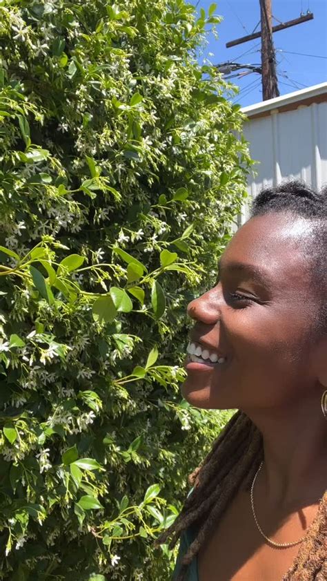 🌻cree Sermone Msw Amazingcree • Instagram Photos And Videos