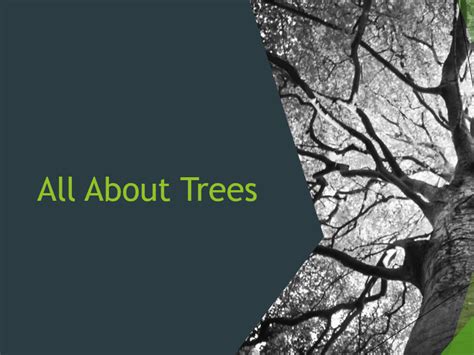 all about trees powerpoint teaching resources