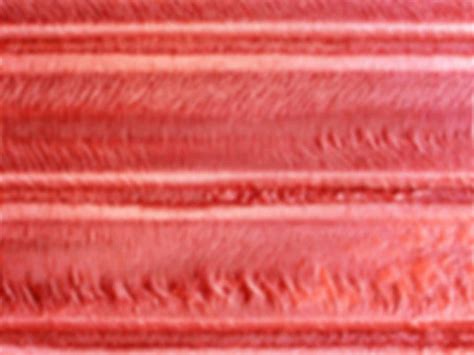 Roof Insulation Background Images Hd Pictures And Wallpaper For Free Download Pngtree