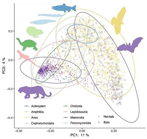 What Microbiome Datasets Can Inspire Your Next Microbiology Project By Hesamedin Hakimjavadi