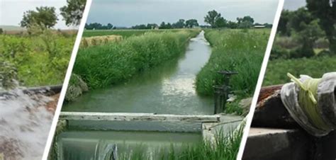 Data Ground Water Schemes Make Up Nearly 95 Of The Minor Irrigation Schemes In India Factly