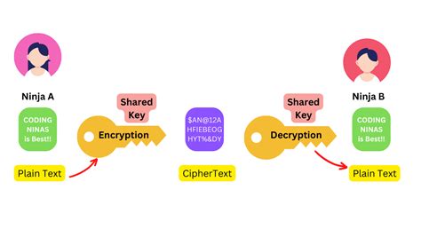 What Is Ciphertext Naukri Code 360
