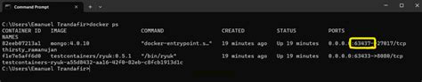 spring boot 中内置的测试容器（testcontainers） spring 中文网