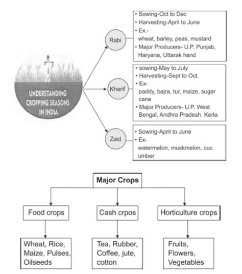 Social Science Class 10 Geography Chapter 4 Notes At Marvella Luce Blog