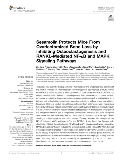 Pdf Sesamolin Protects Mice From Ovariectomized Bone Loss By