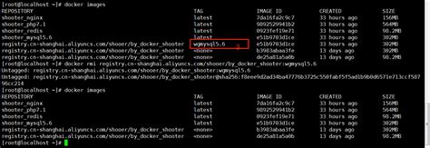 docker无法删除镜像错误！ shooter
