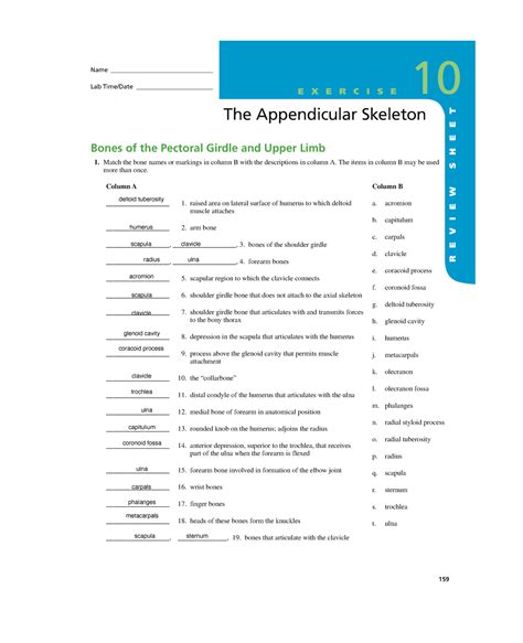 Ex 10 Lab Assignment 159 R E V I E W S H E E The Appendicular