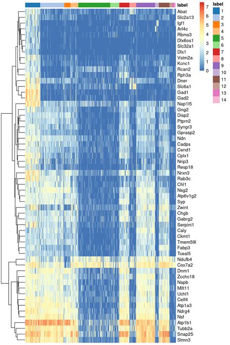 Chapter 26 Zeisel Mouse Brain Strt Seq Orchestrating Single Cell