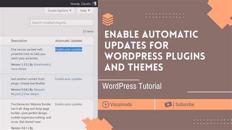 How To Enable Automatic Updates For WordPress Plugins And Themes YouTube