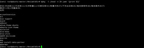 ubuntu 的apt install 和卸载正确姿势 不带r的墨菲特 博客园
