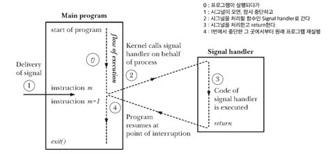 System Call Signal