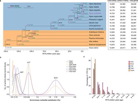 Phylogenetic Position And Comparative Genomics Analyses A Genome Download Scientific Diagram