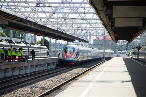 Peregrines at the Station . Passenger Transport. Speed Train. . Saint ...