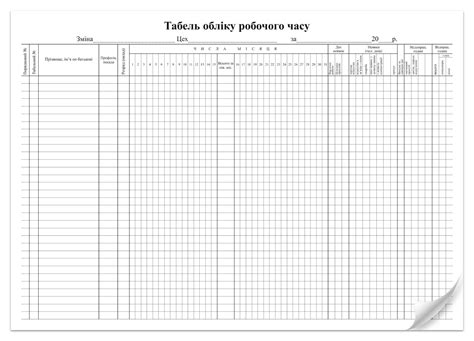 Купити Табель обліку використання робочого часу Т 13 офсет А3 100арк 1 1 249 в інтернет магазині