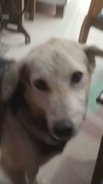 Bacche Ke Sath Time Pass Trendingvideo Trendingvideo Eyecatchy