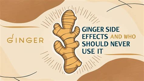 Ginger Side Effects And Who Should Never Use It Medicaregate