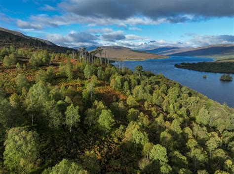 🔥 Jobs Like This Dont Come Around Often Simon Ritchie