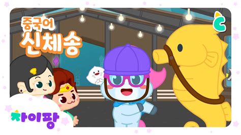 중국어 신체송 어린이 중국어 팔 손 다리 발 등 배 내 몸을 중국어로 배워요 차이팡 중국어와 함께 중국어 노래만 따라 부르면 어린이 중국어 회화 완전 정복