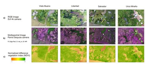 Unlocking Innovation With Liquid Neural Networks