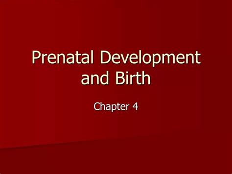 Ppt Prenatal Development And Birth Powerpoint Presentation Free Download Id 1832463