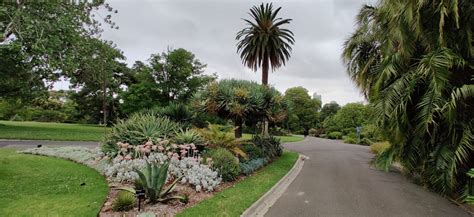 Royal Botanic Gardens Victoria And St Kilda Botanical Gardens Melbourne