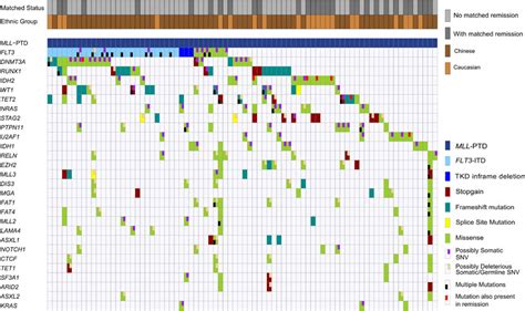 Mutational Landscape Of 80 Mll Ptd Patients Types Of Alterations Are Download Scientific