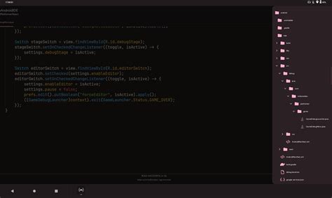 Bug Classes That Are Present Only In The Debug Or Release Variants