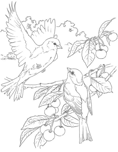 꽃과새가있는 풍경스케치 꽃새밑그림자료도안자료 네이버 블로그