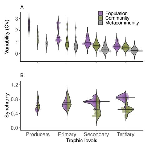 Spatial And Trophic Scaling Of Temporal Variability A And Synchrony Download Scientific