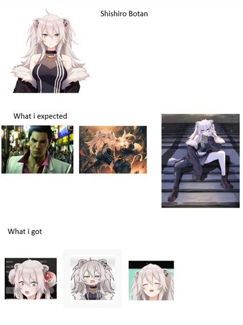 Botan Meme This I Literally What I Expected And So Did Many Others