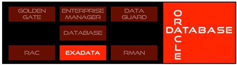Oracle Exadata Arc DBA Consulting