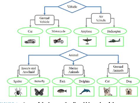 Figure 1 From Object Categorization At The Higher Levels Do With More