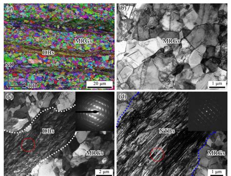 Microstructure Of Fe 30mn 0 11c Steel After Cold Rolling And Annealing Download Scientific