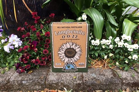 The Benefits Of Using Langbeinite Fertilizer Haute Life Hub