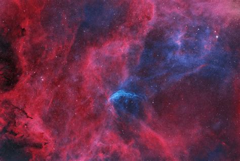 Wolf Rayet Star Captured From Light Polluted Backyard With Armature