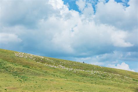 牧民骑摩托图片素材 牧民骑摩托设计素材 牧民骑摩托摄影作品 牧民骑摩托源文件下载 牧民骑摩托图片素材下载 牧民骑摩托背景素材 牧民骑摩托模板