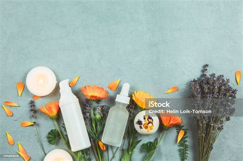 유기 식물 기반 화장품 컨셉 빈티지 블루 배경에 다양한 허브 식물과 미용 제품 용기의 상단보기 피부 관리에 대한 스톡 사진 및 기타 이미지 Istock