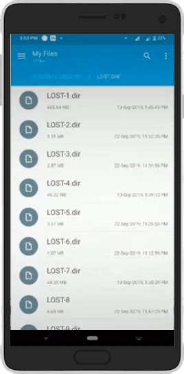 Recover Lostdir Files