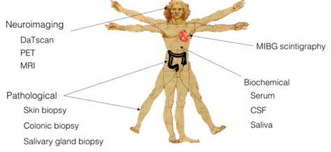 General Methodological Approaches To Biomarker Development 111