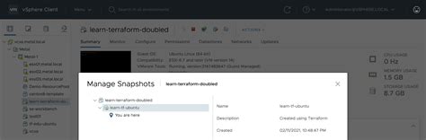 Manage Vms And Snapshots On Vsphere Terraform Hashicorp Developer