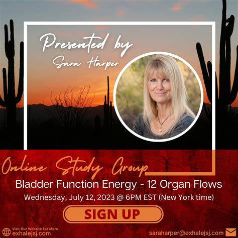 Bladder Function Energy Online Study Group The 12 Organ Flows