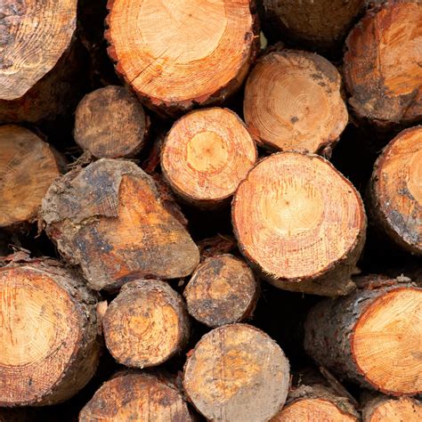 What Are Logs