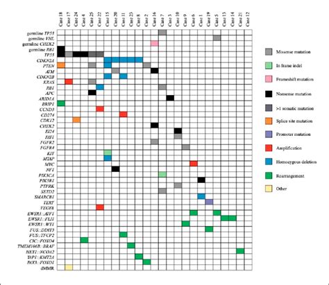 Driver Variants Identified Through Comprehensive Molecular Profiling Download Scientific