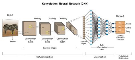 convolutional neural network datadriveninvestor