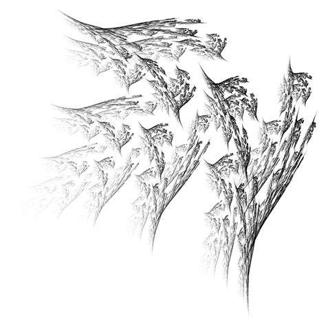 Randomly Generate Ifs Fractals Part 2 Rfractals