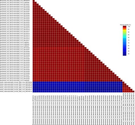 matrix of pairwise amino acid sequence identity of rep proteins of