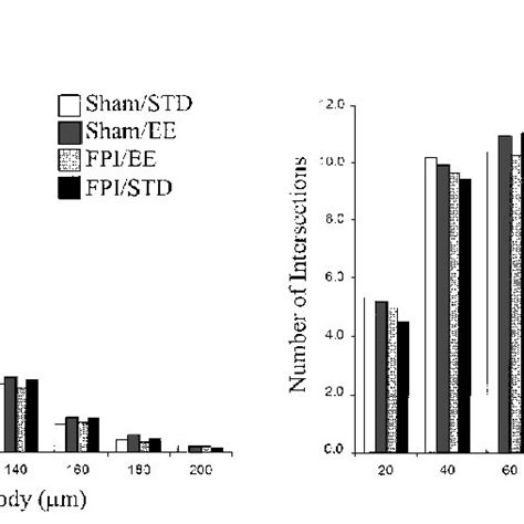 Occipital Cortex Number Of Intersections Between Basal Dendritic Download Scientific Diagram